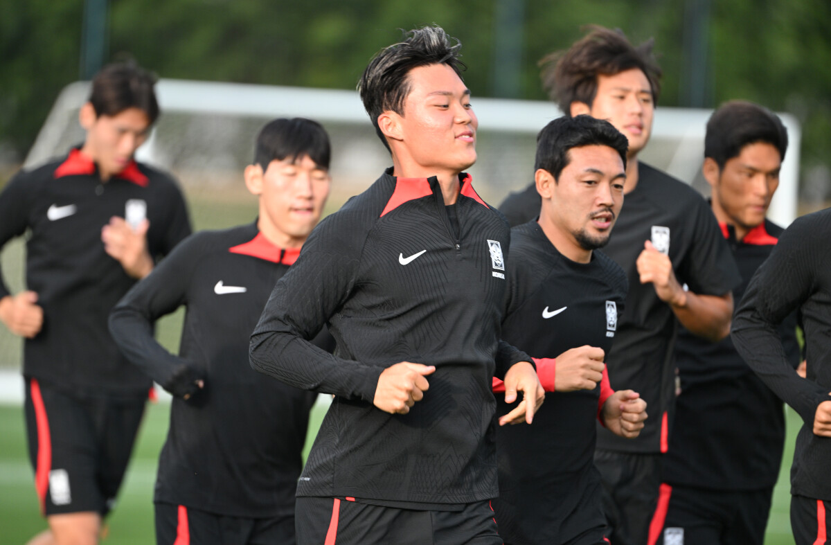 Images - Final Touches: Jordan v Korea Republic