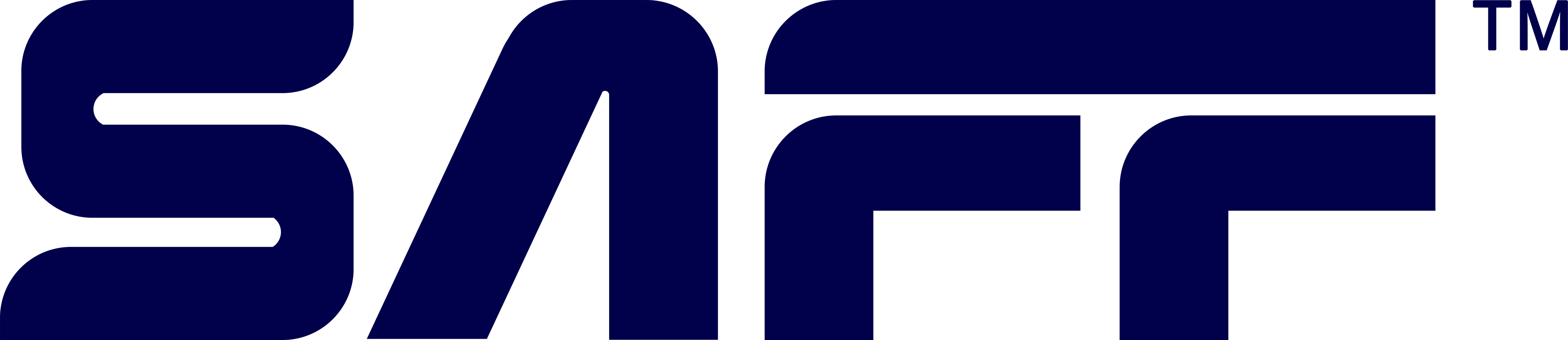 SOUTH ASIAN FOOTBALL FEDERATION (SAFF)