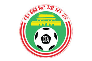 Guizhou claim Chinese FA Cup